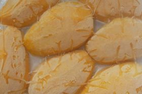 Simsha: Tropical Fruit Processor in townsville